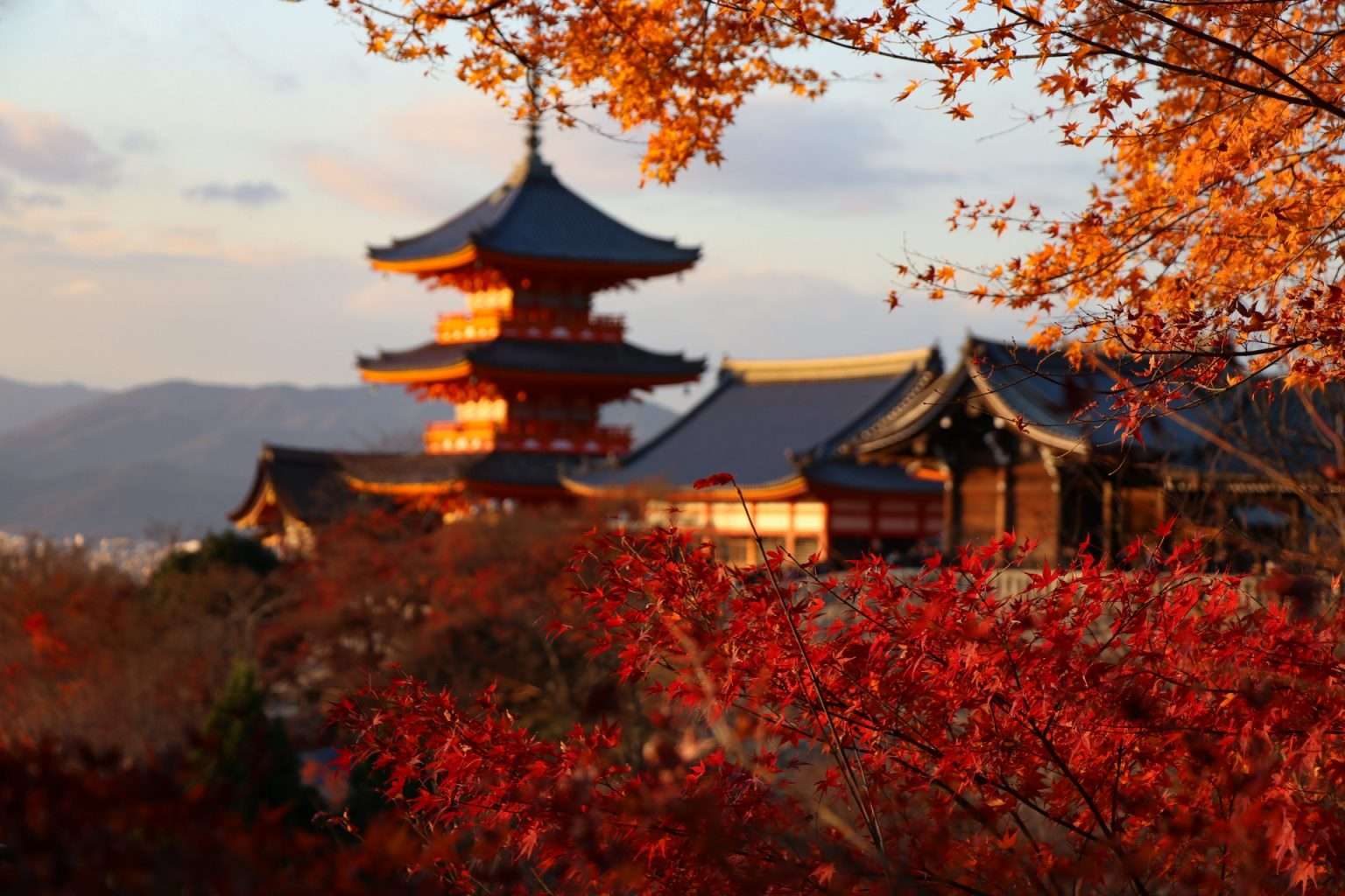 2024 Japanese Foliage Season: Where to See Maples in Autumn? - Get ...
